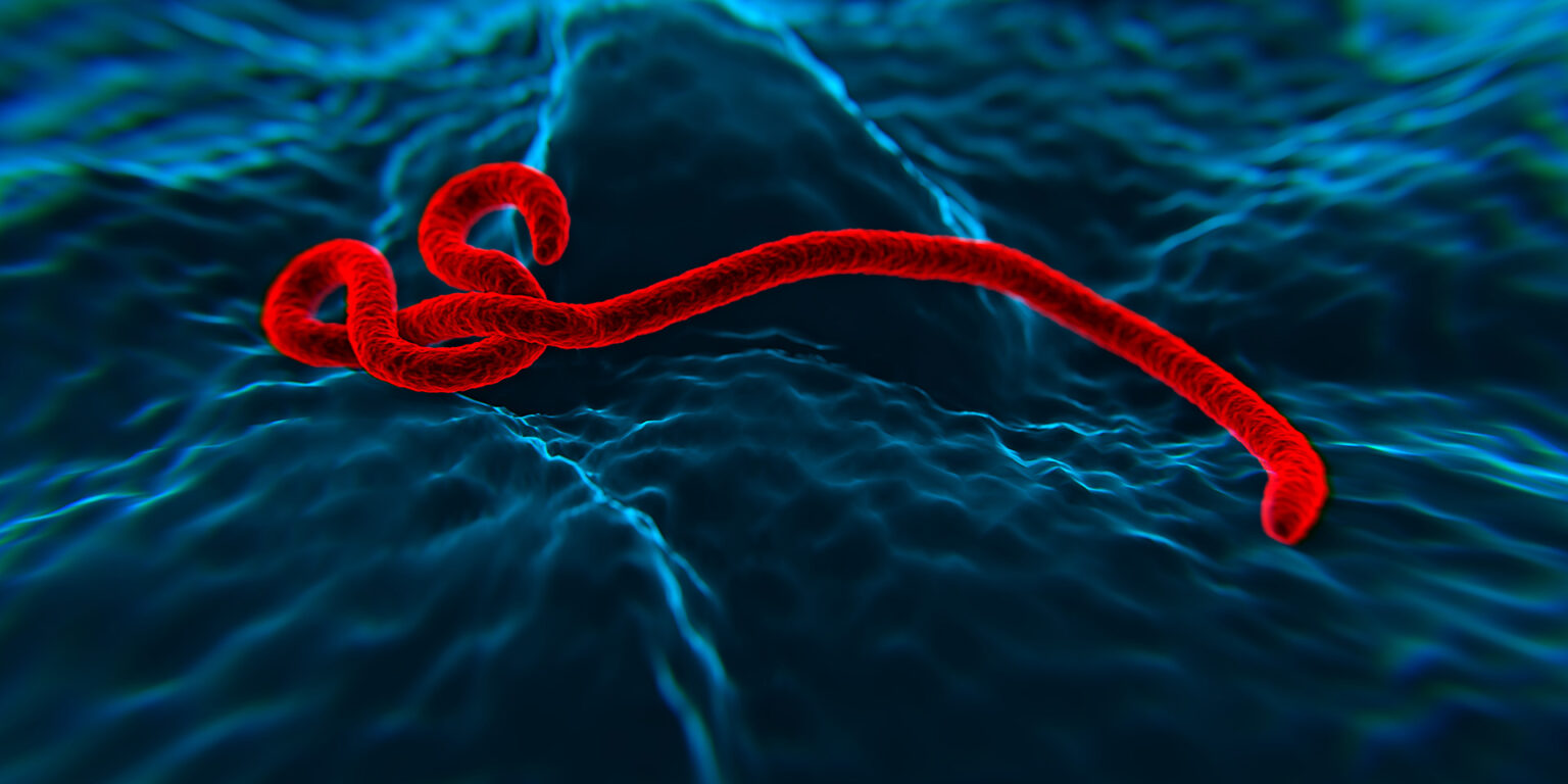 10 Years Since the West Africa Ebola Outbreak - MRIGlobal