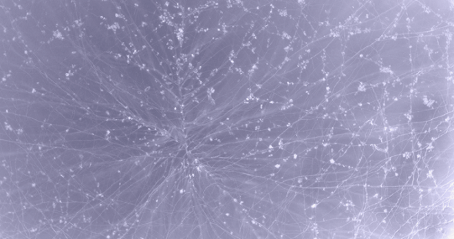 Three MRIGlobal Researchers Contribute Science2Art Works - MRIGlobal