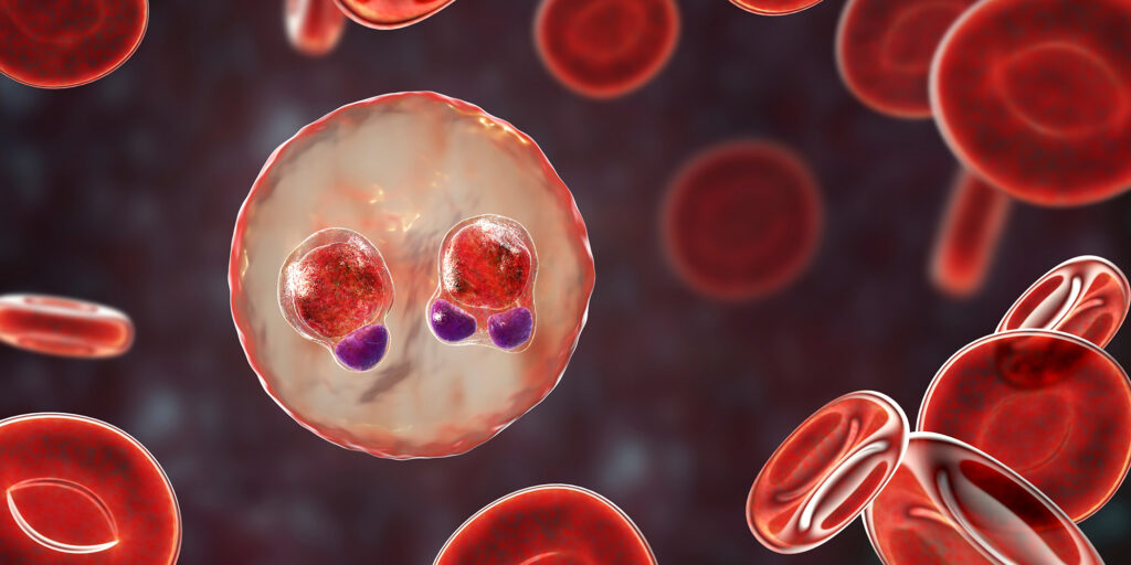 Malaria Finds its Way to the U.S. Again - MRIGlobal